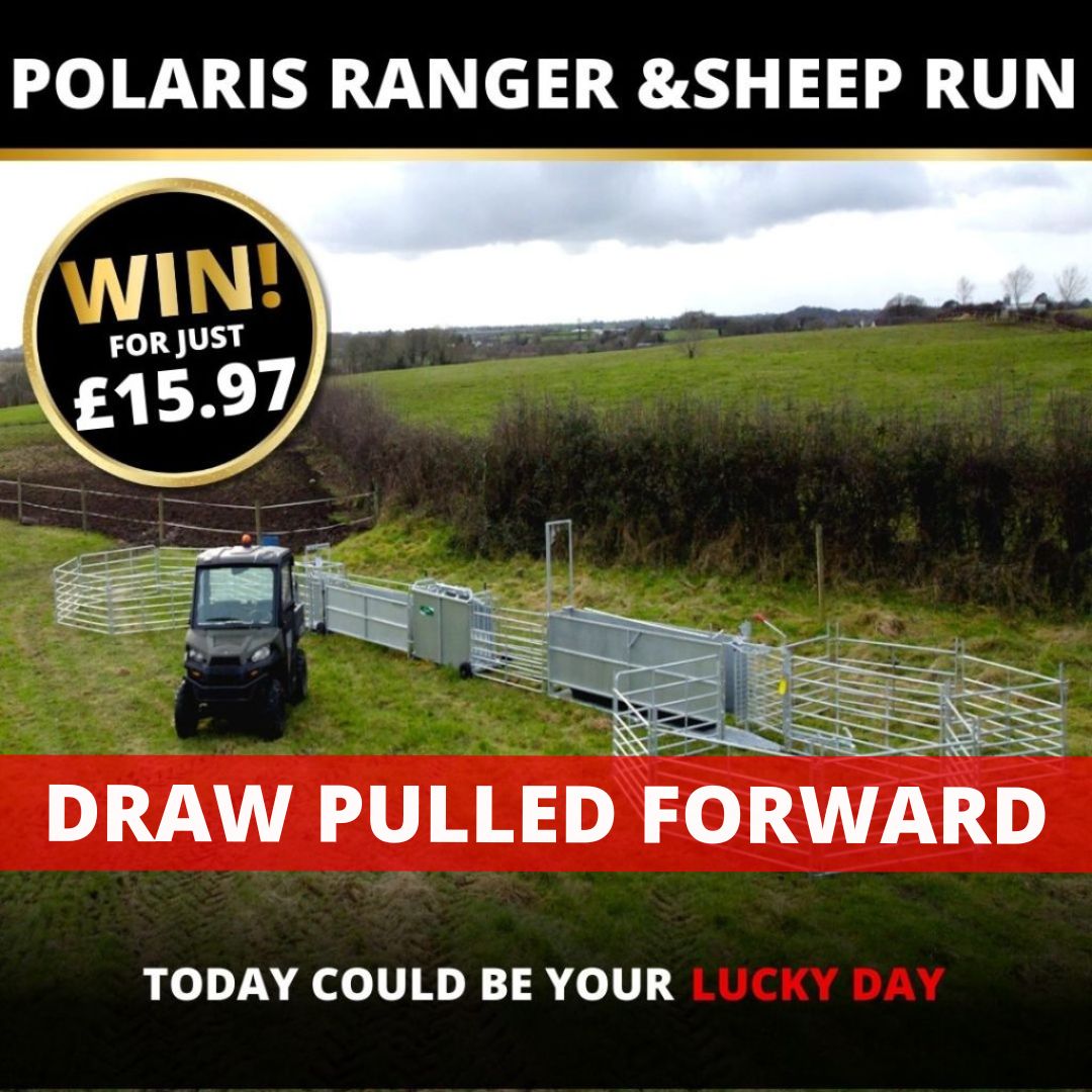 Polaris Ranger & Mobile Sheep Race Handling System - Lucky Day Competitions